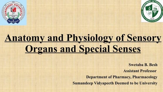 ppt on Eye anatomy | PPT