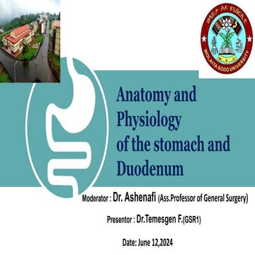 Anatomy and Physiology of Stomach and Duodinum by Dr.Temesgen F.(GSR1 ...