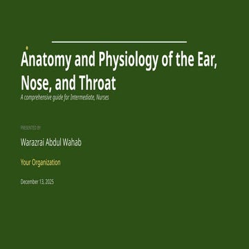 Anatomy and Physiology of the Ear, Nose, and Throat 111 | PPTX