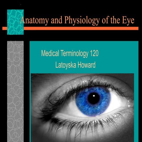 Anatomy and physiology of the eye | PPT