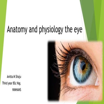Anatomy of eye ppt | PPTX