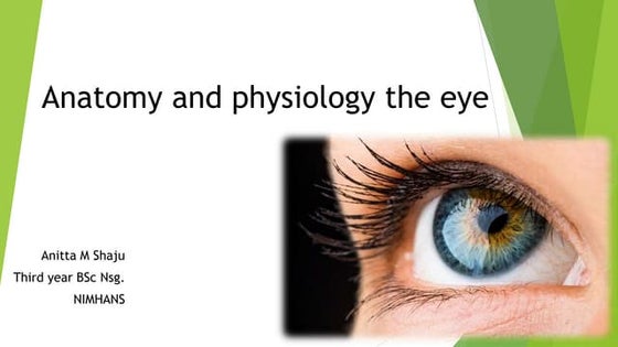 Eye Anatomy Ppt