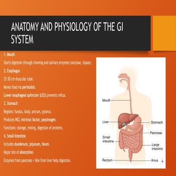 ANATOMY AND PHYSIOLOGY OF THE GI SYSTEM.pptx