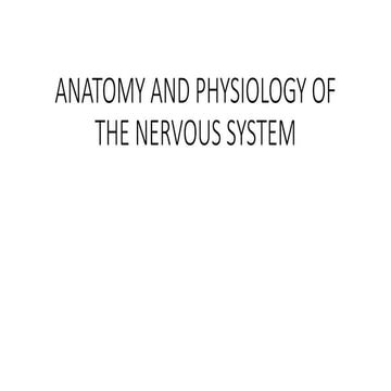 ANATOMY AND PHYSIOLOGY OF THE NERVOUS SYSTEM.pptx