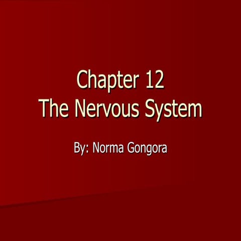 Anatomy And Physiology Of The Nervous System Ch12 | PPT