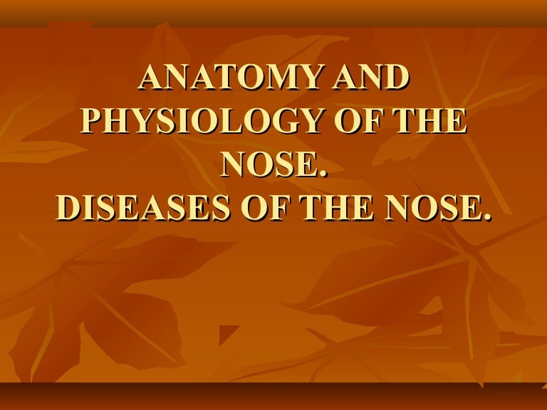 Anatomy And Physiology Of The Nose