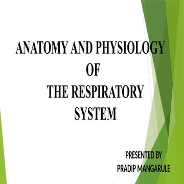 Anatomy and physiology of the respiratory system.pptx