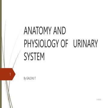 Anatomy and physiology of the Urinary System.pptx