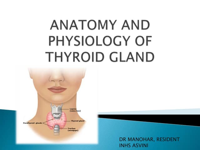 Anatomy of thyroid gland | PPTX