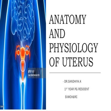 Gross Anatomy of Uterus | PPTX