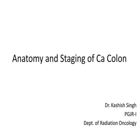 Anatomy and staging of ca colon | PPTX