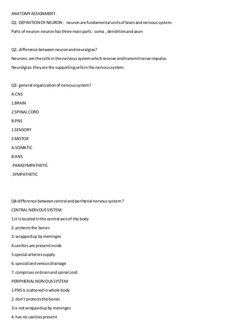 ANATOMY ASSIGNMENT.docx