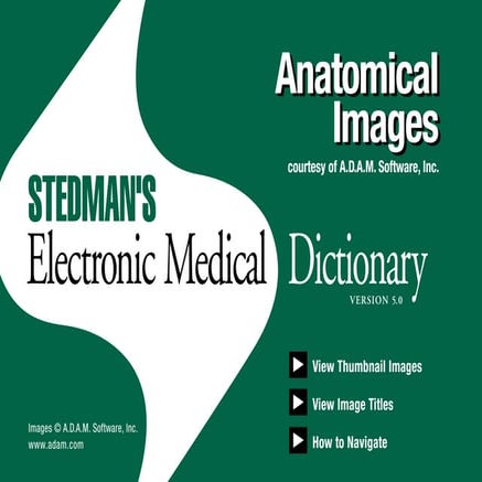 Anatomy atlas | PDF