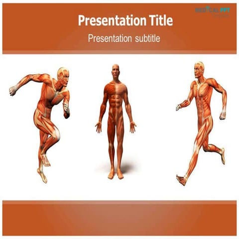 Human Body Powerpoint Background