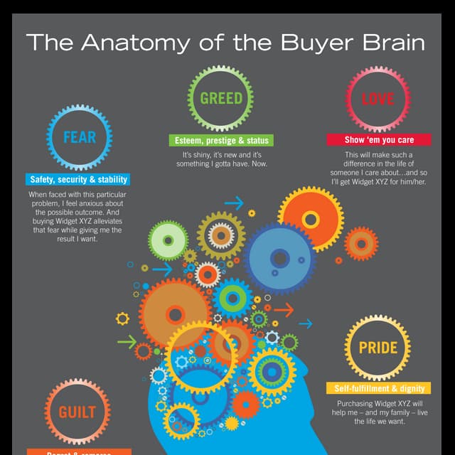 The Anatomy of the Buyer Brain | PDF