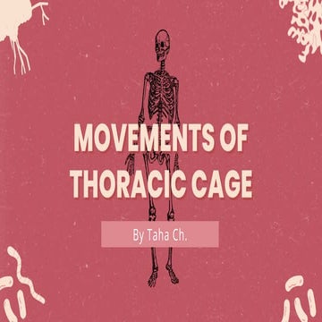 Thoracic cavity movements By Mr. Curious.pdf
