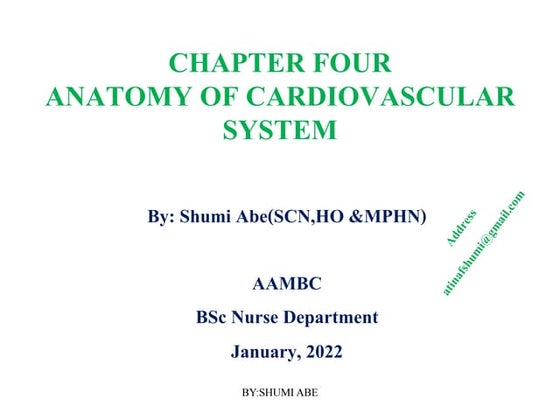 The cardiovascular system part a manaphy | PPT