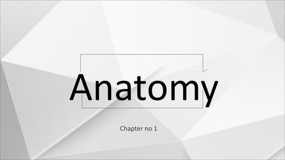 "Foundations of Human Anatomy: Exploring Skin, Fascia, and Bone" | PPTX