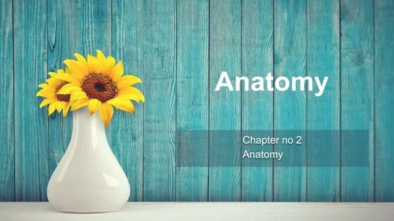 Muscle Types: Skeletal, Smooth, and Cardiac | PPTX | Heart and ...