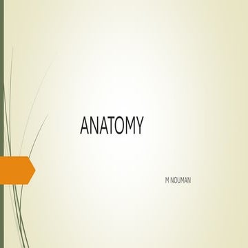 Anatomy terminologies | PPTX
