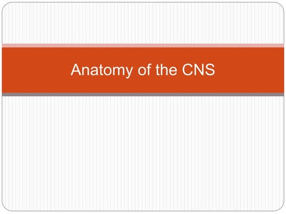 FETAL SKULL -LANDMARK,REGIONS,BONE,SUTURE,DIAMETER- OBG.pdf