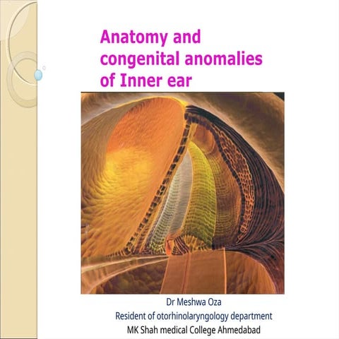 anatomy congenital anomalies inner earrr.pptx