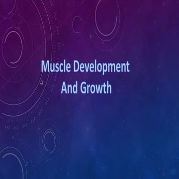 Development of the Muscular System [Human Embryology] | PPTX