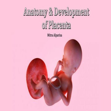 Anatomy & Development of Placenta | PPTX