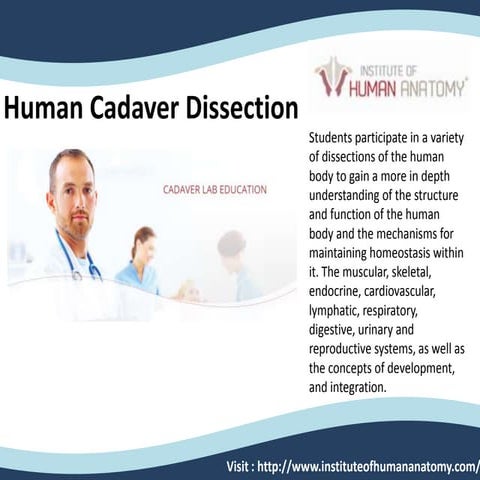 Anatomy dissection | PPT