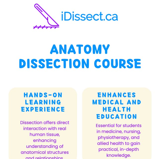 Dissection Of a Cadaver - www.idissect.ca