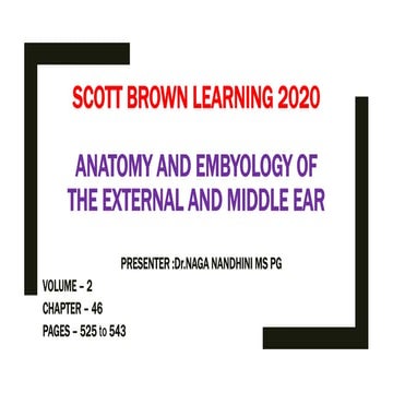 Anatomy and physiology of ENT | PPTX