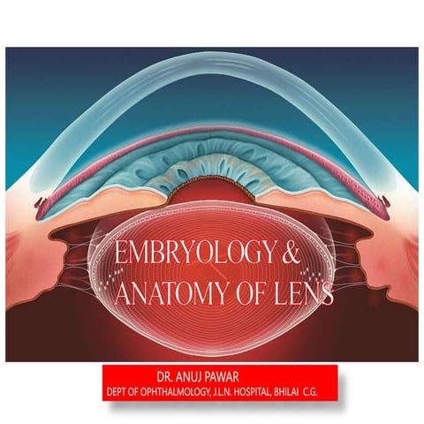 ANATOMY & EMBRYOLOGY OF LENS- Dr. Anuj Pawar.pptx