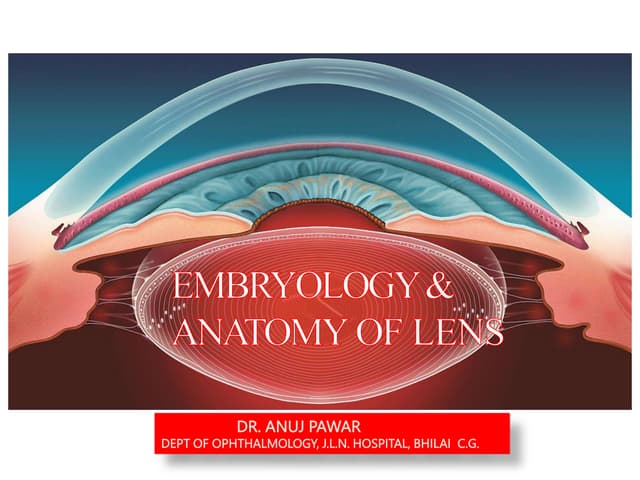 Eye lens formation in vertebrate - Dr.M.Jothimuniyandi | PPTX