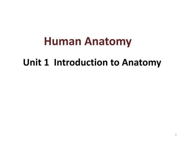 Lecture 1 introduction to anatomy nursing level 1 | PPT