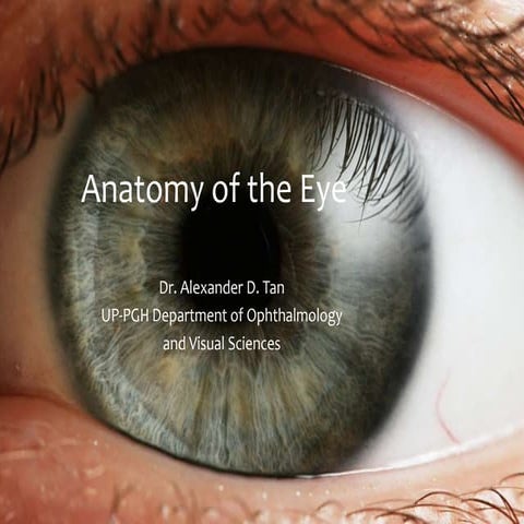 ANATOMY AND PHYSIOLOGY OF THE EYE. 2.pptx