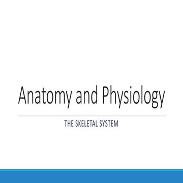 The Skeletal System | PPT