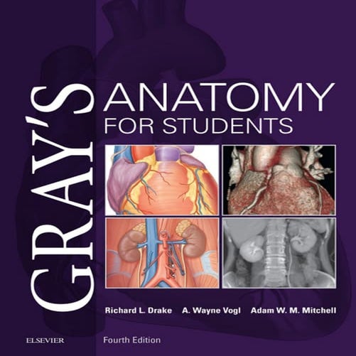 Anatomy Gray 4º Edición Pdf