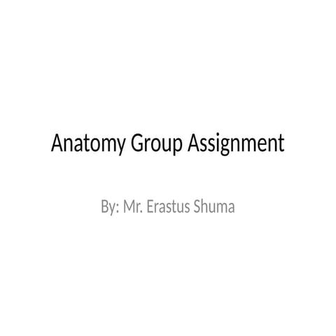 Anatomy Group Assignment lecture PPT.pptx