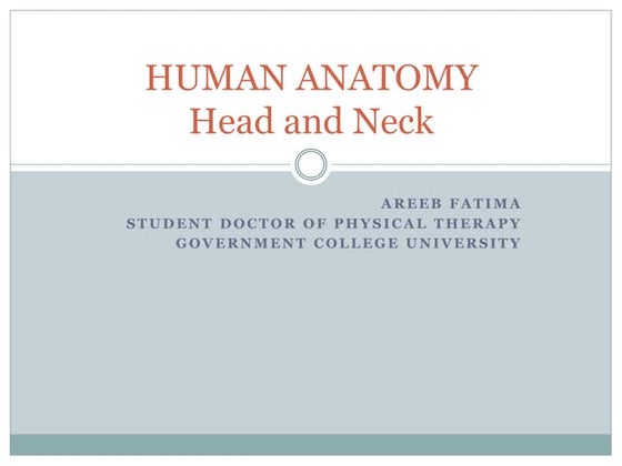 Anatomy head and neck(norma frontalis) | PPT