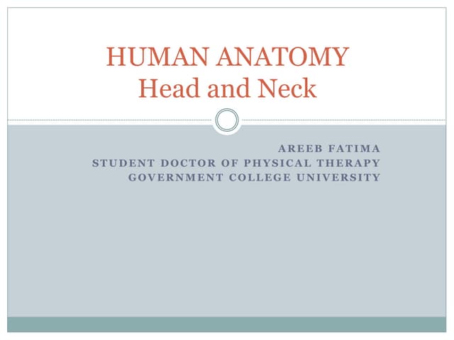 Norma Verticalis | PPTX