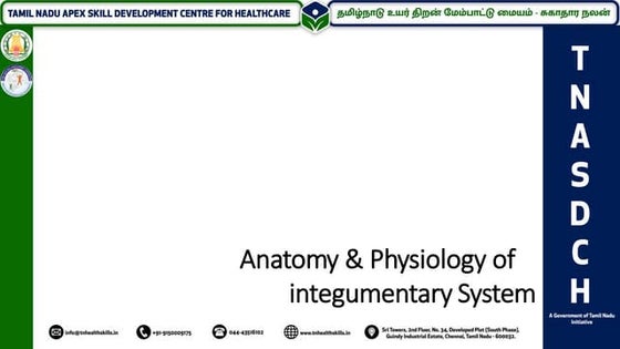Science 6_Q2_L2_Parts and Functions of the Integumentary System.pptx ...