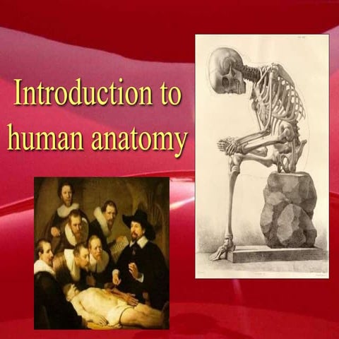 Anatomy introduction | PPT