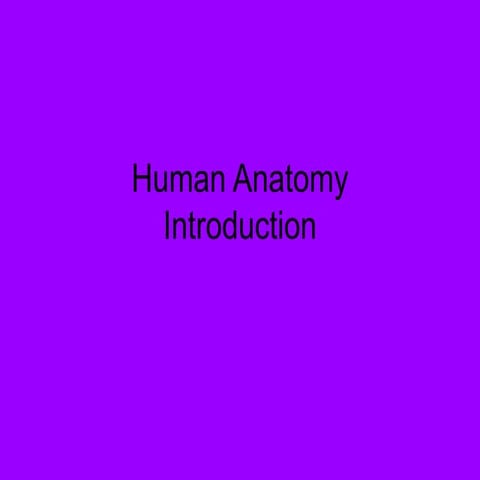 Anatomy Introduction.ppt