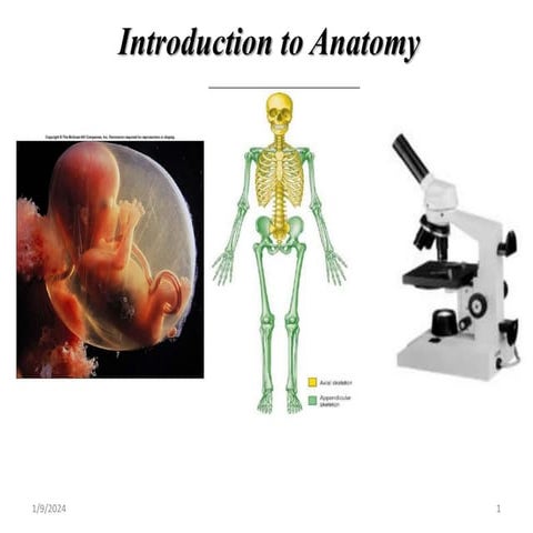 Anatomy introduction.pptx