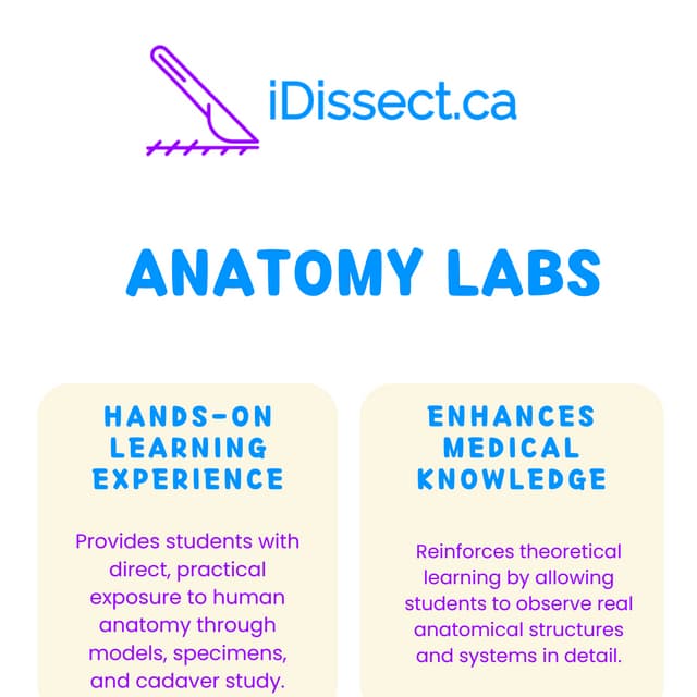 Dissection Of a Cadaver - www.idissect.ca