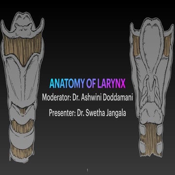 Surgical Anatomy of Larynx - Cartilages, Muscles and Spaces | PDF
