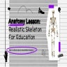 Anatomy Lesson_ Realistic Skeleton for Education by Slidesgo.pptx