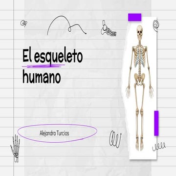 Esqueleto Humano | PPTX