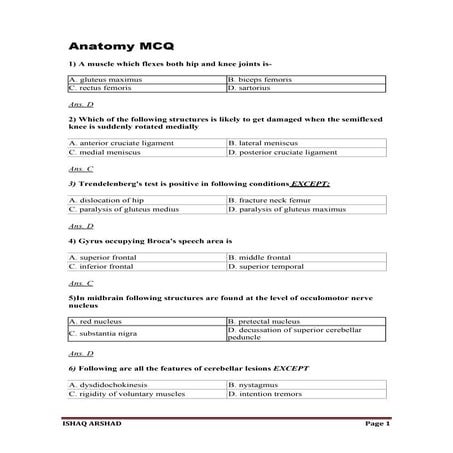 lower limb anatomy MCQs | DOCX