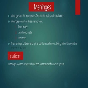 Anatomy (meninges of brain) | PPTX